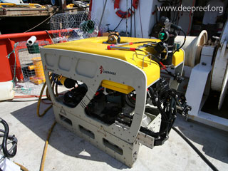 Deep Down Under expedition to the Coral Sea - Deepreef Explorer | Cairns