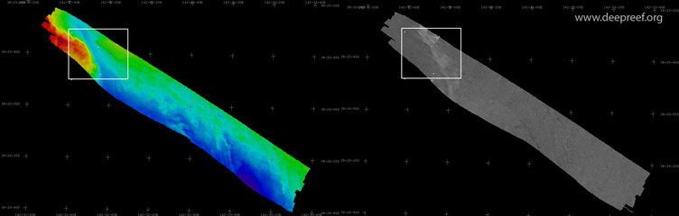 Kongsberg multibeam workshop in Deakin University - Deepreef Explorer ...