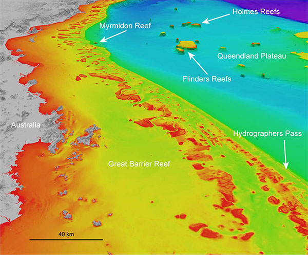 Drowned Reefs - Deepreef Explorer | Cairns