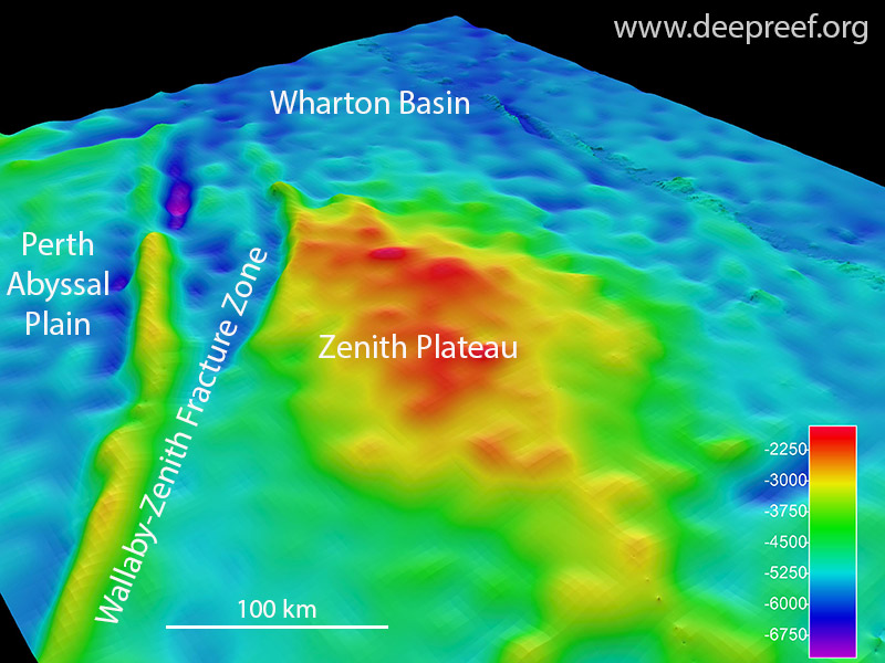 Zenith Plateau - Deepreef Explorer | Cairns